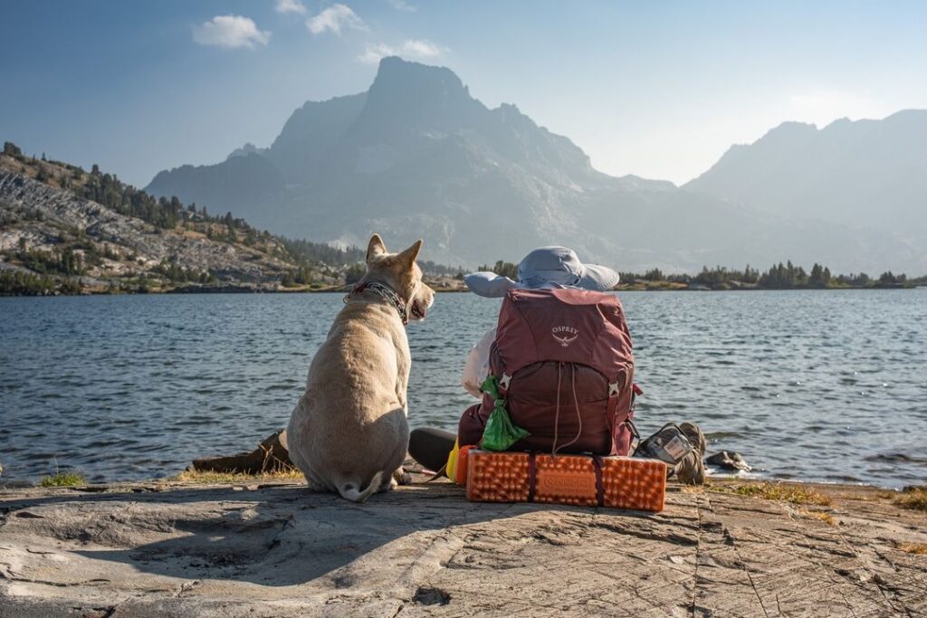 Gear - Elephant's Perch